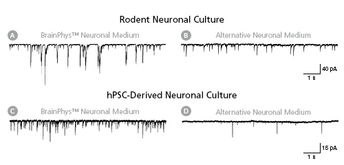 New BrainPhys™ Medium and Supplement Kits Now Available!!